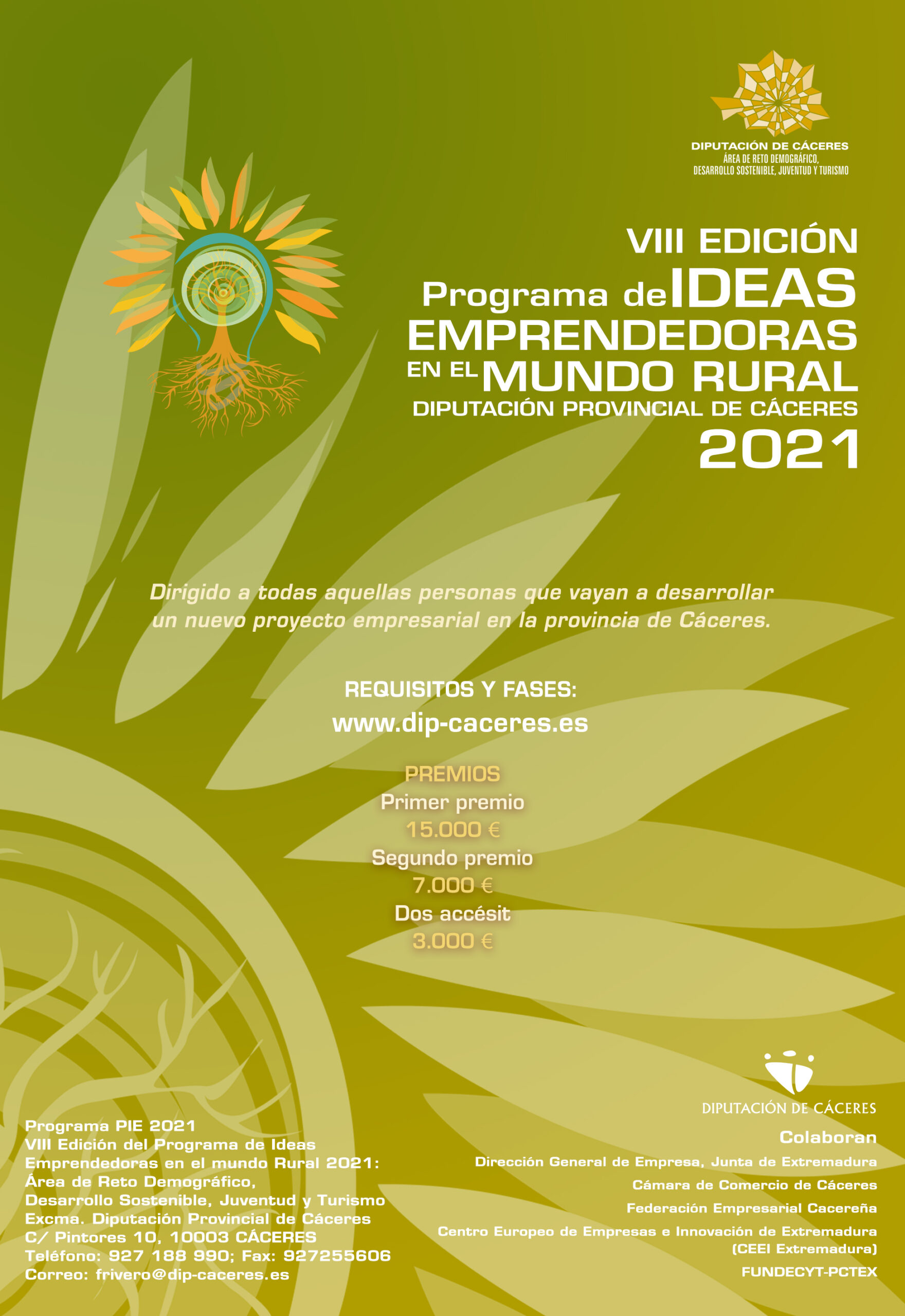 Programa de Ideas Emprendedoras – Reto Demográfico